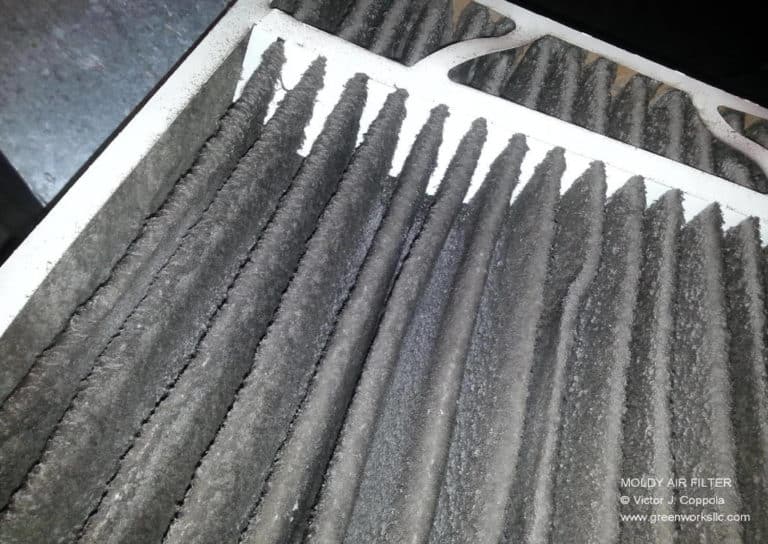 FAQs | Environmental Consultant, Mold Removal | GreenWorks