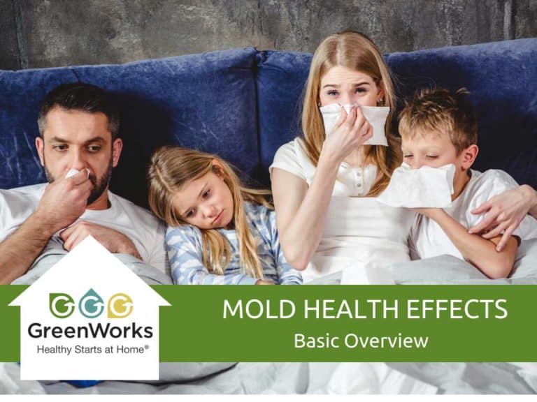 Basic Overview of Effects of Mold on our Health | GreenWorks