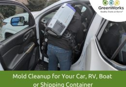 Consequences of Long-Term Exposure to Mold | GreenWorks