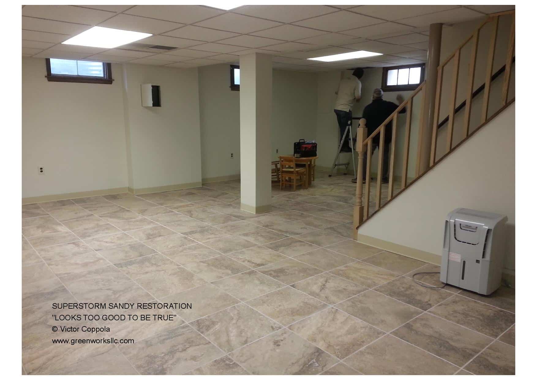 How to Get Rid of Musty Odors and Prevent Mold Growth