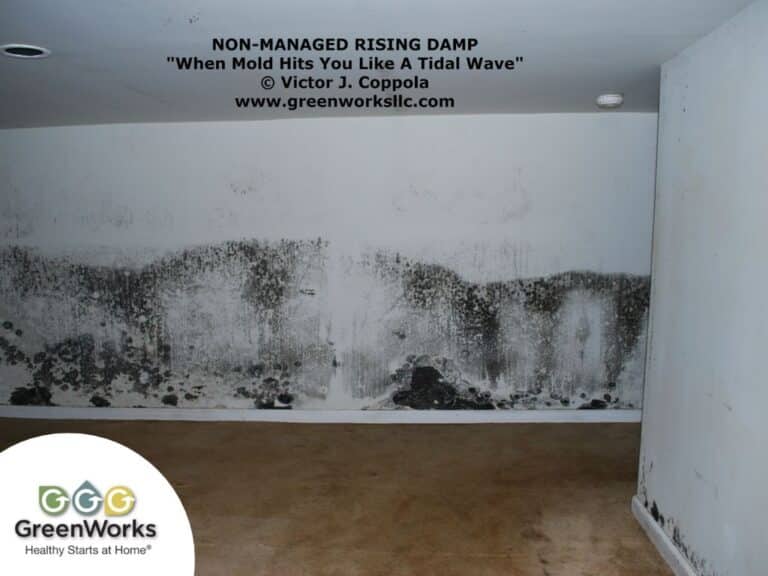 How to Deal with Mold and Mildew After Water Damage