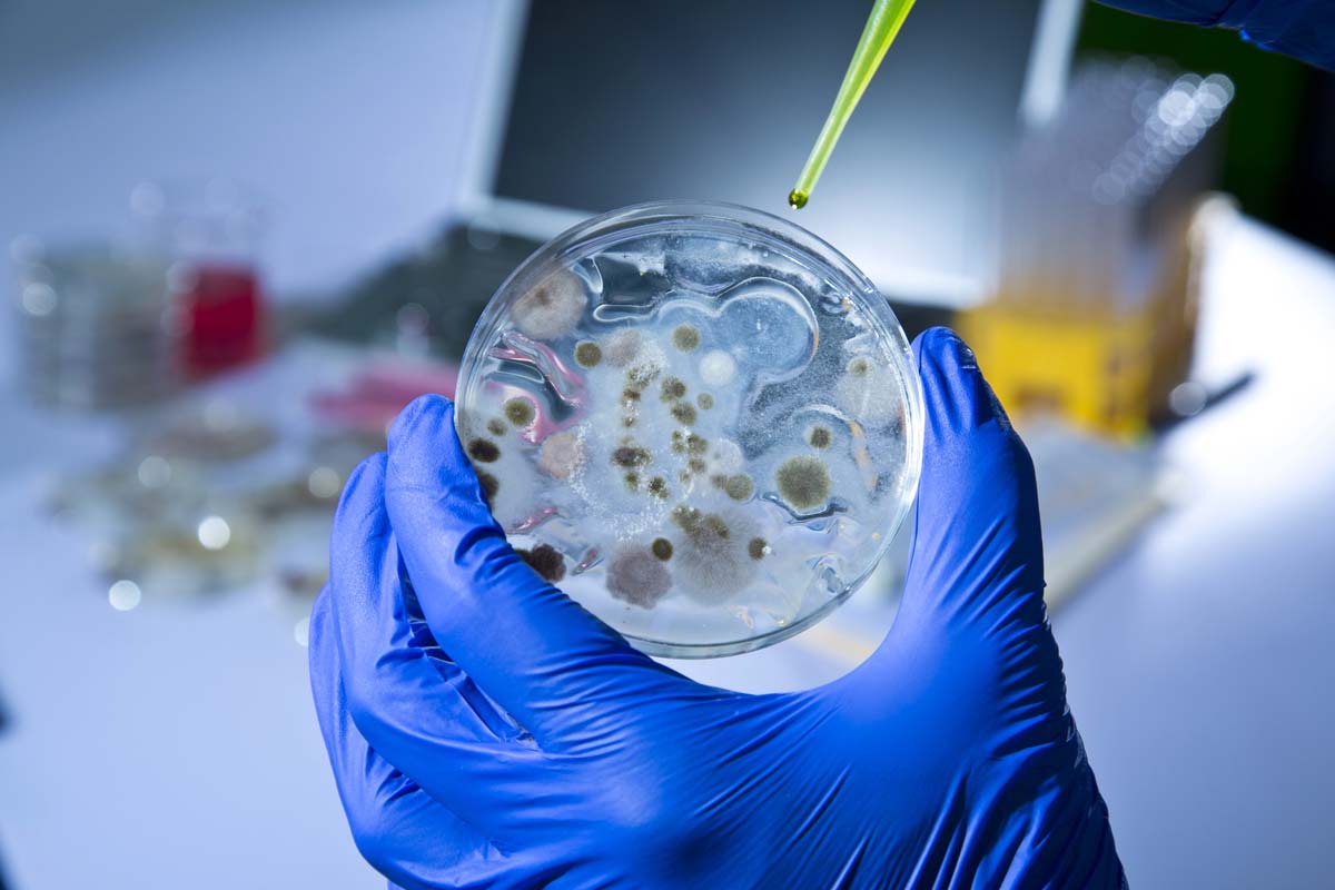 EnviroBiomics Microbial Detection